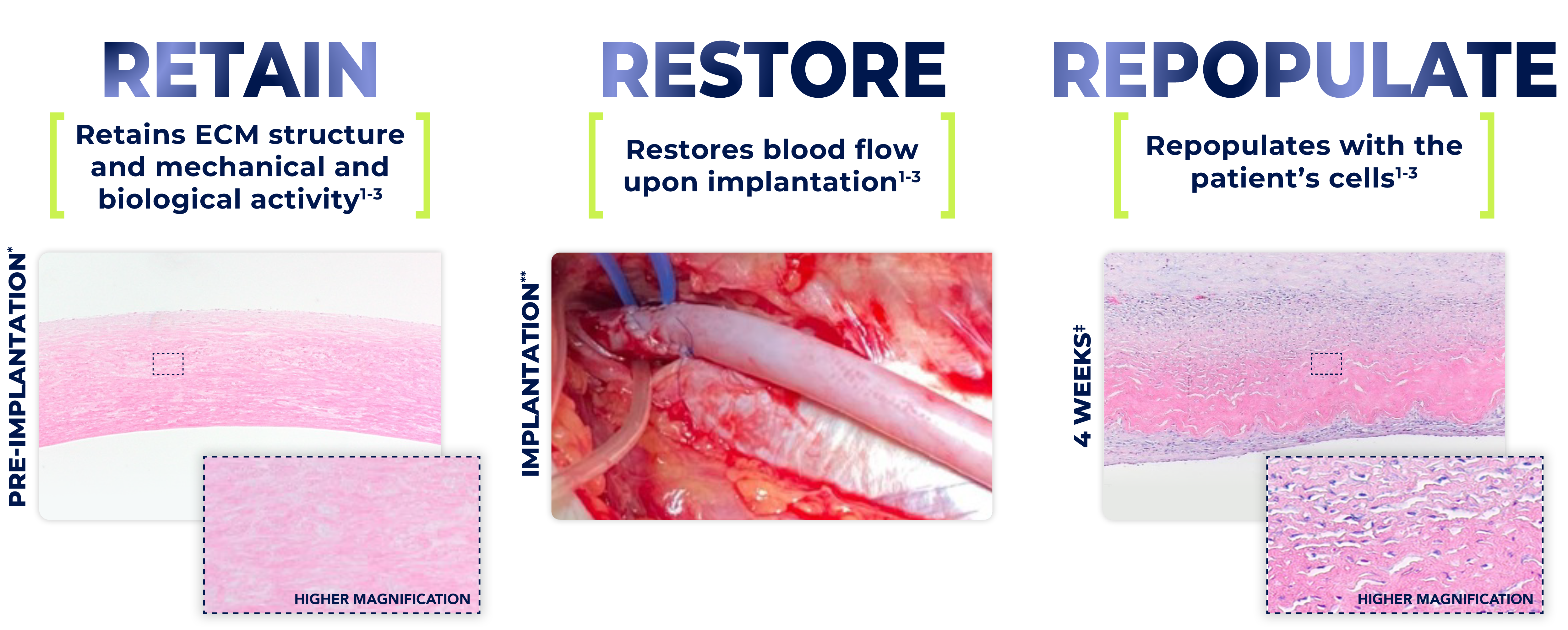 Home - Symvess™ acellular tissue engineered vessel-tyod